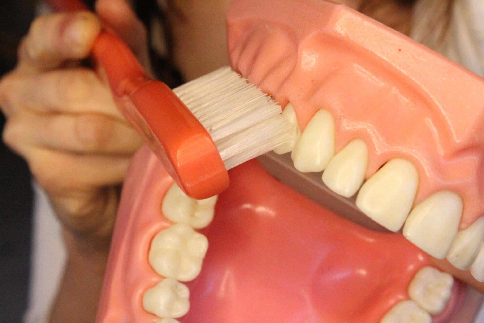 Tooth Brushing Facts and Myths Exposed | Dr Helen